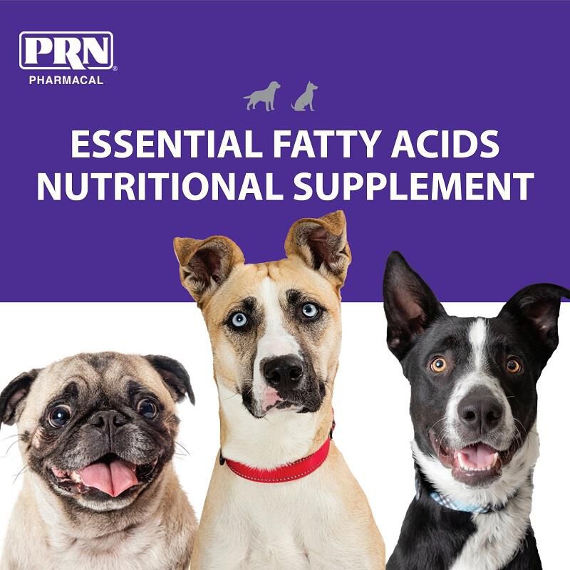 Shop Optima 365 for Dogs 16 Oz at the Best Price