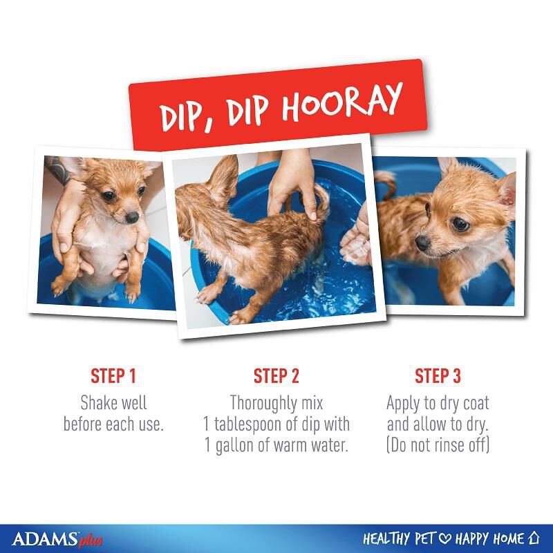 Order Adams Plus Pyrethrin Dip 4 Oz for dogs and cats online