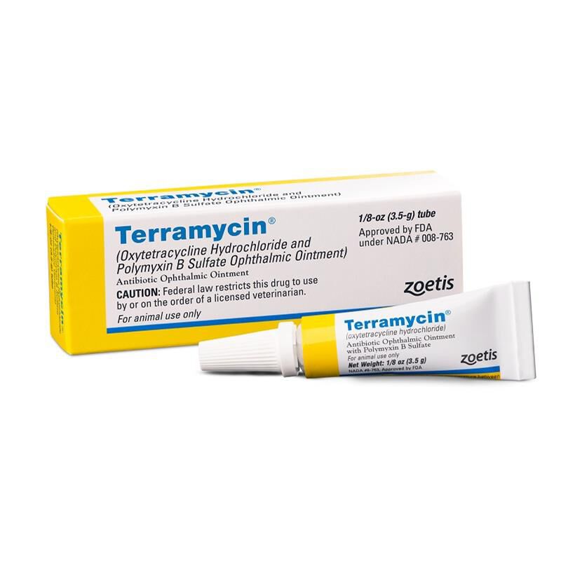 Terramycin Ophthalmic Ointment, 3.5 g tube