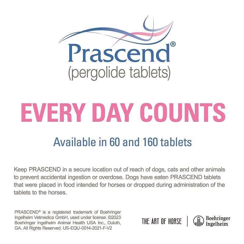 Prascend Tablets 1 mg 160 Ct | Order Prascend Tab for horses