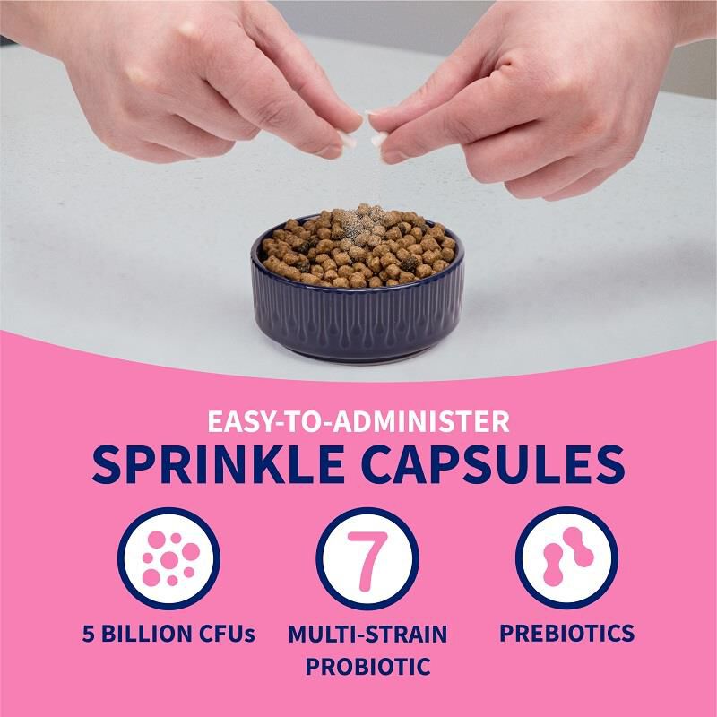 Proviable-KP Paste For Dogs & Cats - Probiotics | Allivet