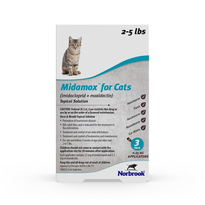 cat hookworm dewormer