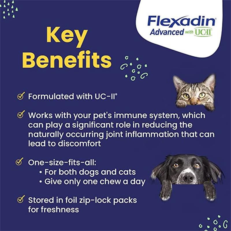 Buy Flexidine Plus Chews for Dogs & Cats - Supplements | Allivet