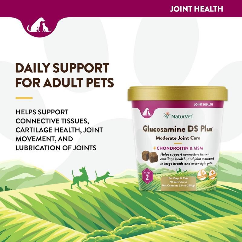NaturVet Glucosamine DS Plus Level 2, 70 Soft Chews