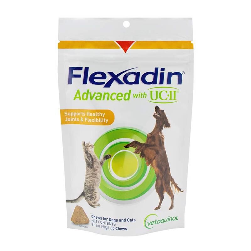 Buy Flexidine Plus Chews for Dogs & Cats - Supplements | Allivet
