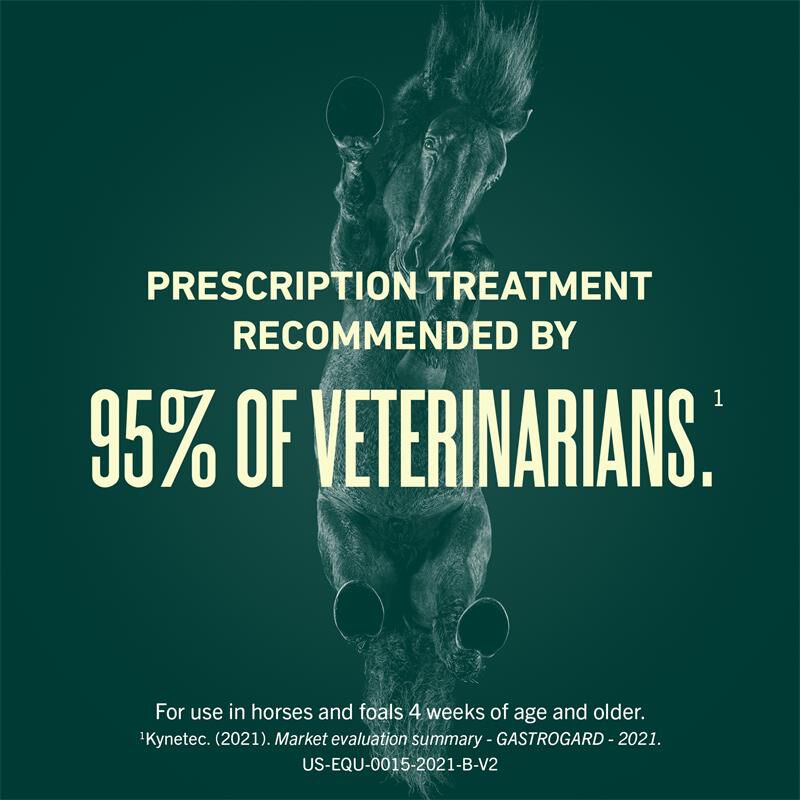 Gastrogard (Omeprazole Paste) for Horses | Allivet