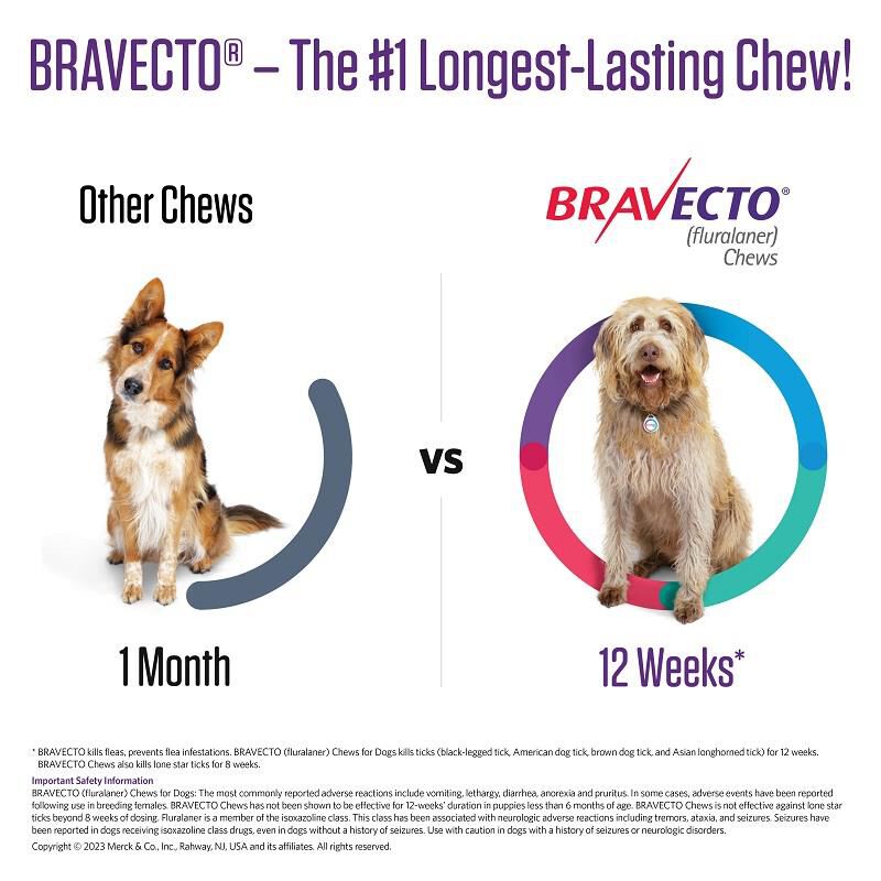 Bravecto Chews for Dogs - Flea & Tick Pill | Allivet