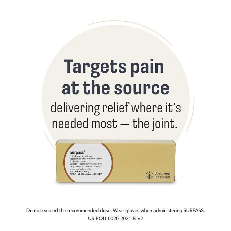 Surpass Equine topical cream | Buy Surpass for horses now