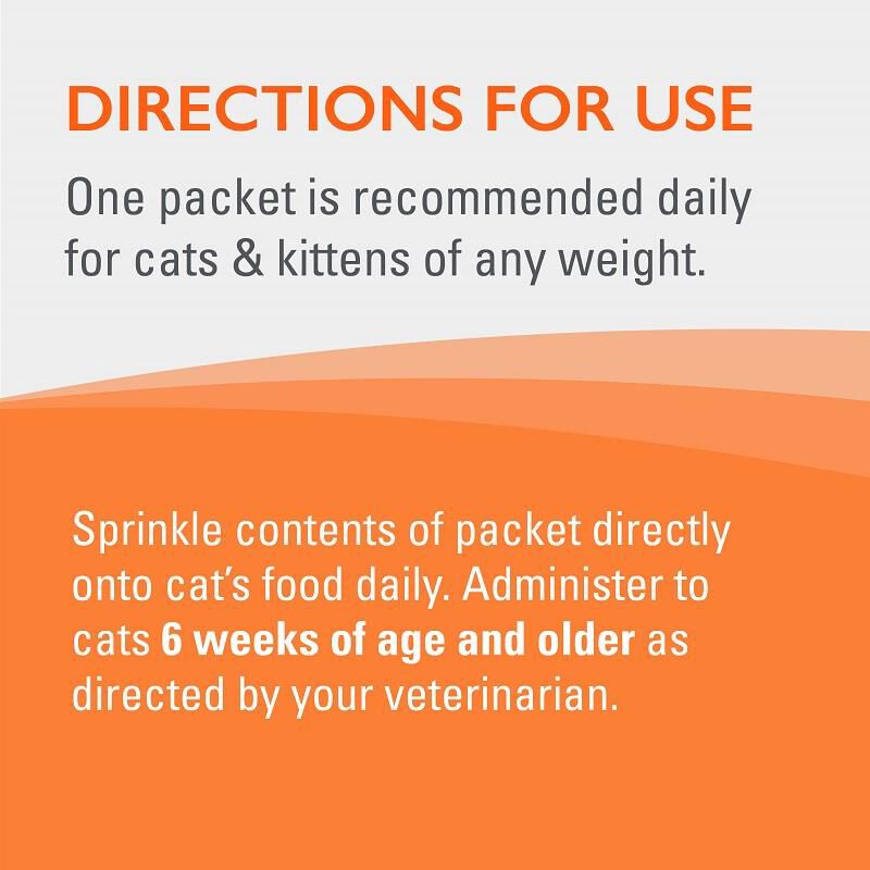 Imuquin Immune Health Supplement for Cats | Allivet