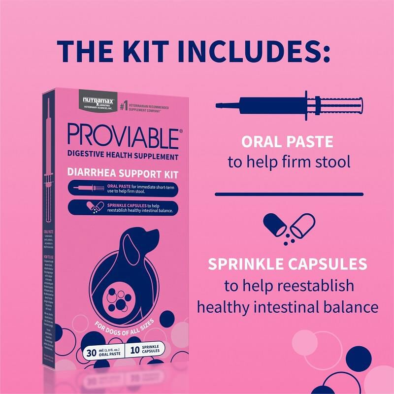 Proviable-KP Paste For Dogs & Cats - Probiotics | Allivet