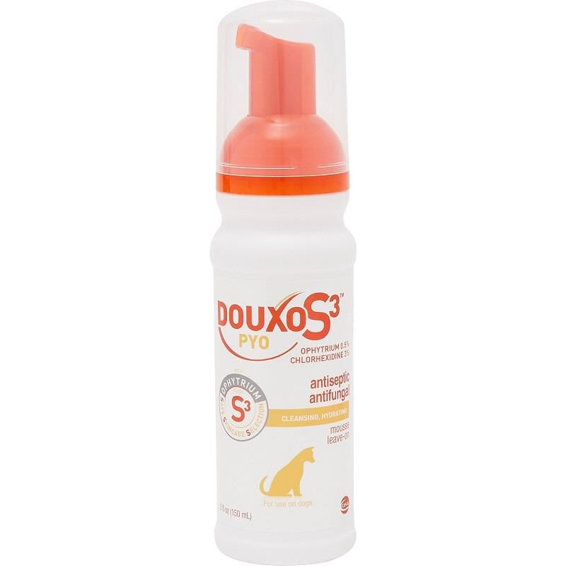 Douxo Chlorhexidine Plus Climbazole Mousse for Dogs 6.8 Oz