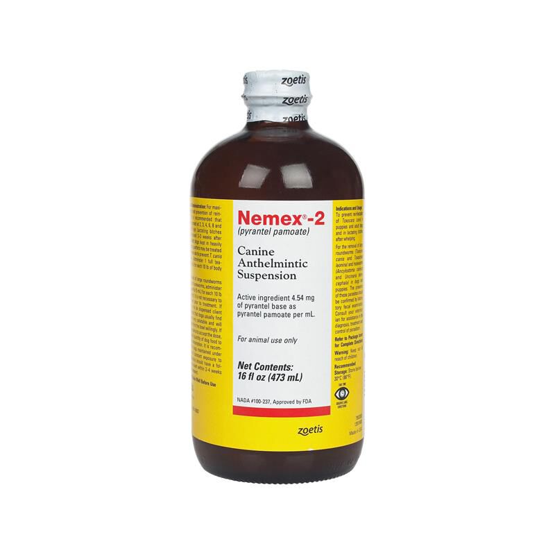 Nemex-2 Oral Liquid | Allivet Pet Pharmacy