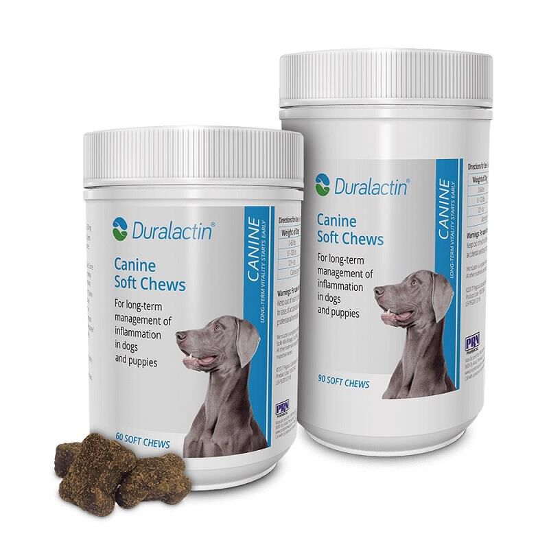Duralactin Soft Chews for Dogs |Inflammation Supplements | Allivet