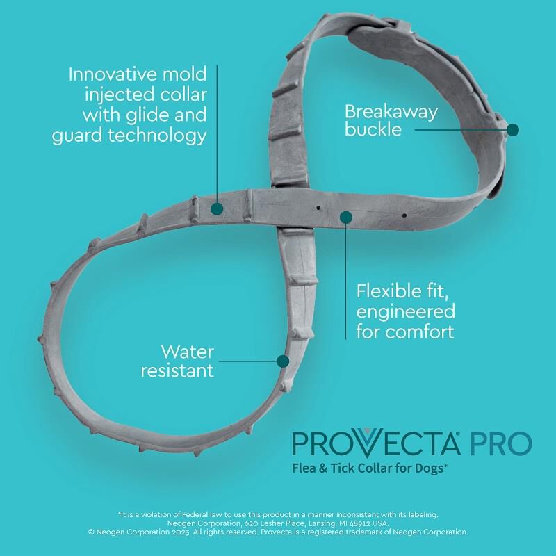 Provecta Pro Flea & Tick Collar for Dogs