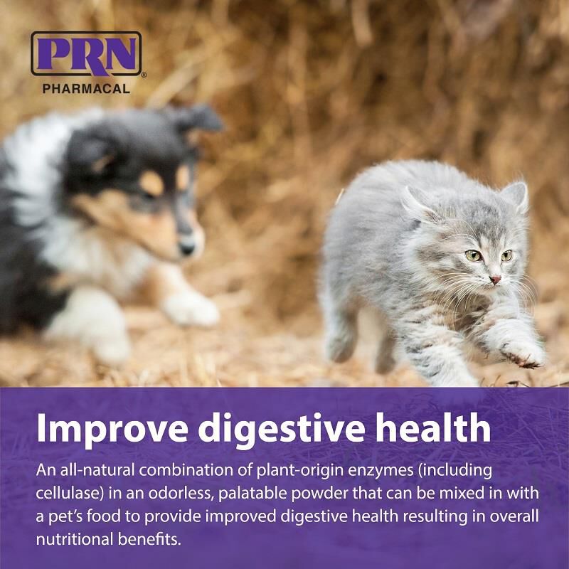 Prozyme digestive enzymes | Buy Prozyme for cats and dogs