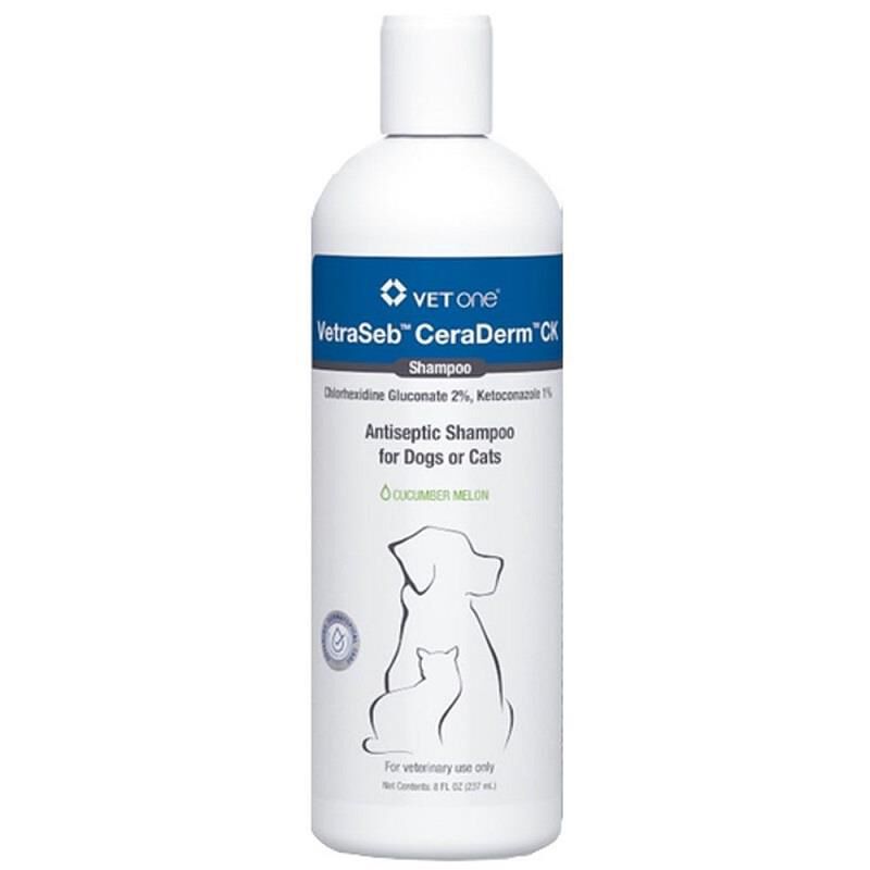 dermatitis cat shampoo