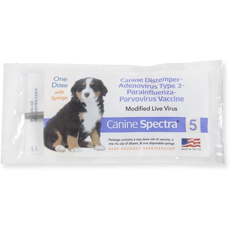 Canine Spectra KC 3, Single Syringe