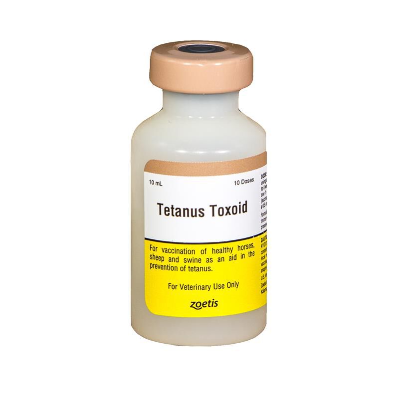 Tetanus Toxoid Vaccination | Tetanus Toxoid for Horses