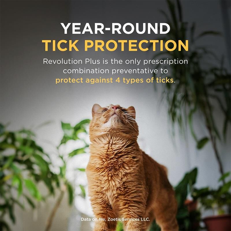 revolution for cats side effects