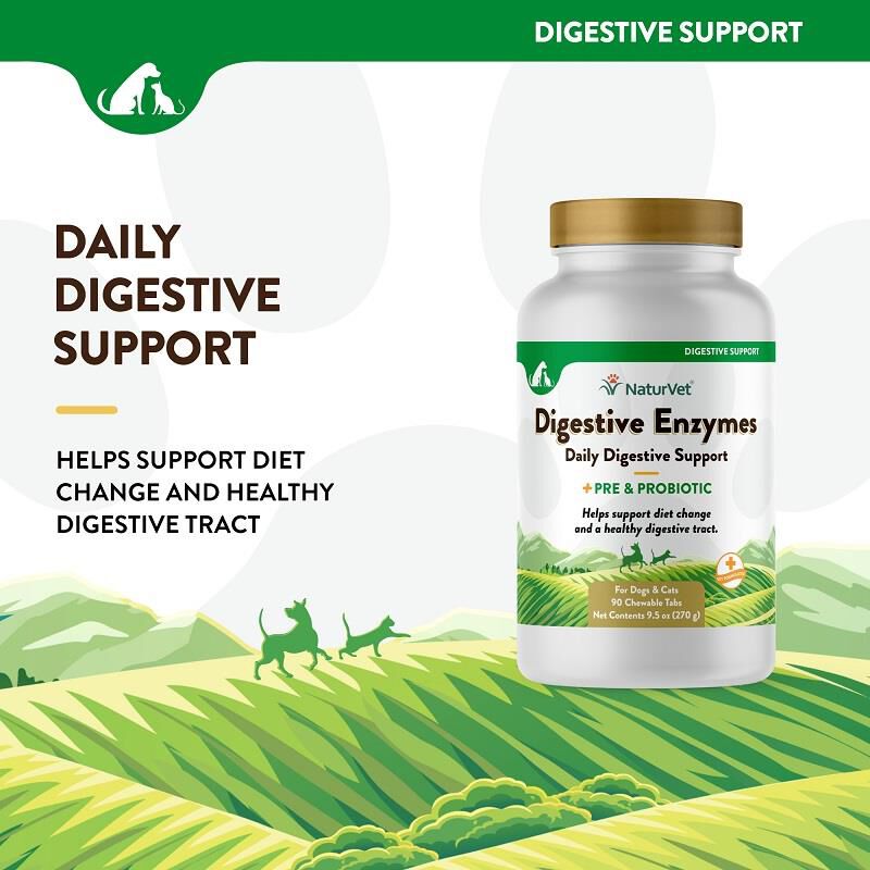 NaturVet Digestive Enzymes Chewable Tabs | Pet Digestive Aid - Allivet