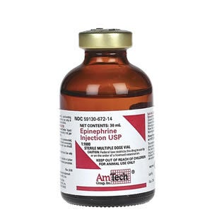 Horse Medicine | Horse & Equine Rx Prescription Meds