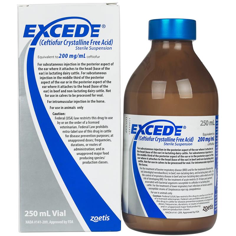 Excede Sterile Suspension 200 mg/ml | Allivet