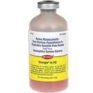 Equine Polyflex antibiotic Injection | Buy Polyflex for horses