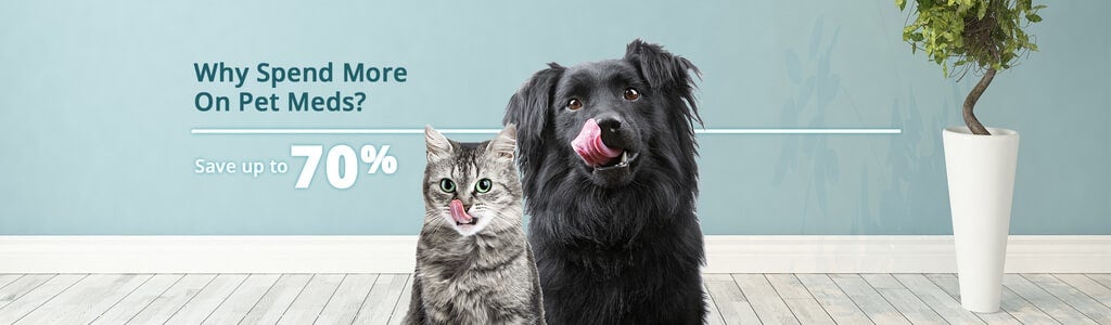 Pet Meds Online: Trusted Pharmacy for Pet Medicine | Allivet