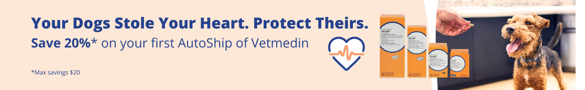 Vetmedin-CA1 (pimobendan) Chewables - Cardiac Drug for Dogs