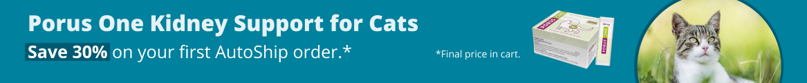 Porus One Kidney Support for Cats - 500mg | Allivet
