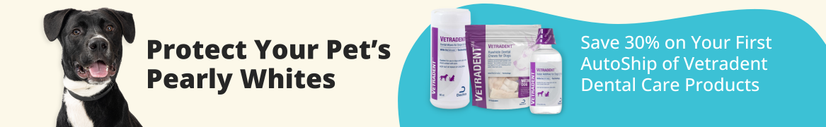 Buy Vetradent Water Additive For Dogs | Allivet