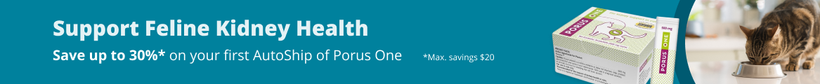Porus One Kidney Support for Cats - 500mg | Allivet