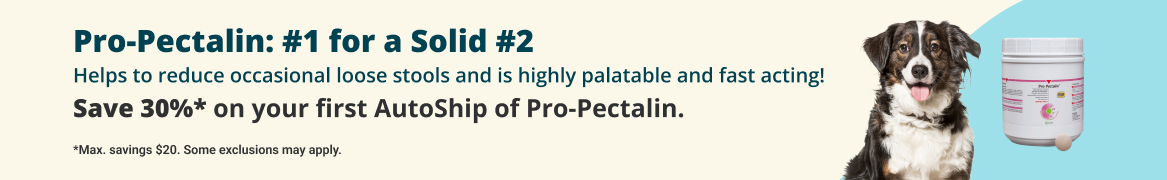Pro-Pectalin Anti-Diarrhea 250 Tablets for Dogs and Cats | Allivet