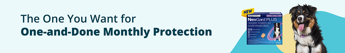 NexGard PLUS Chewables for Dogs