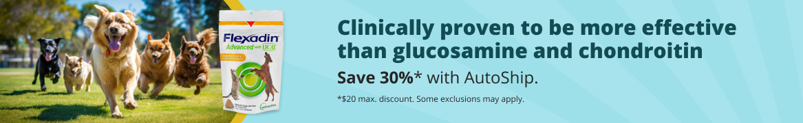 Buy Flexidine Plus Chews for Dogs & Cats - Supplements | Allivet