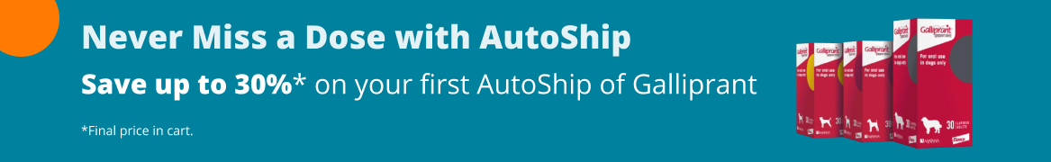 Galliprant Flavored Tablets | 20 mg, 60 mg, 100 mg | Allivet