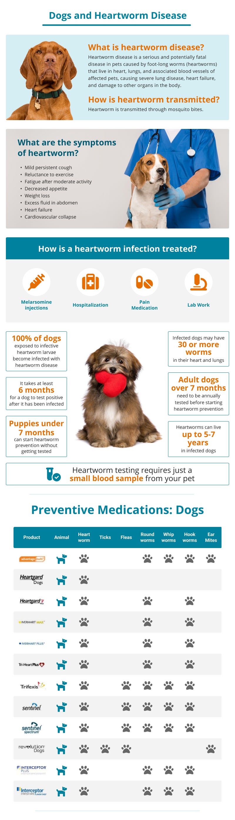 Dog Heartworm Chart