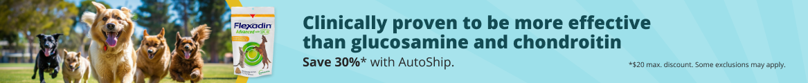 Buy Flexidine Plus Chews for Dogs & Cats - Supplements | Allivet