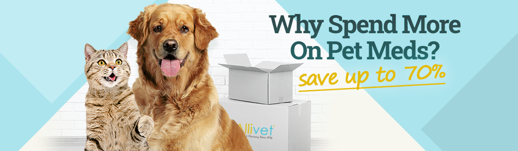 Pet Meds Online: Trusted Pharmacy for Pet Medicine | Allivet