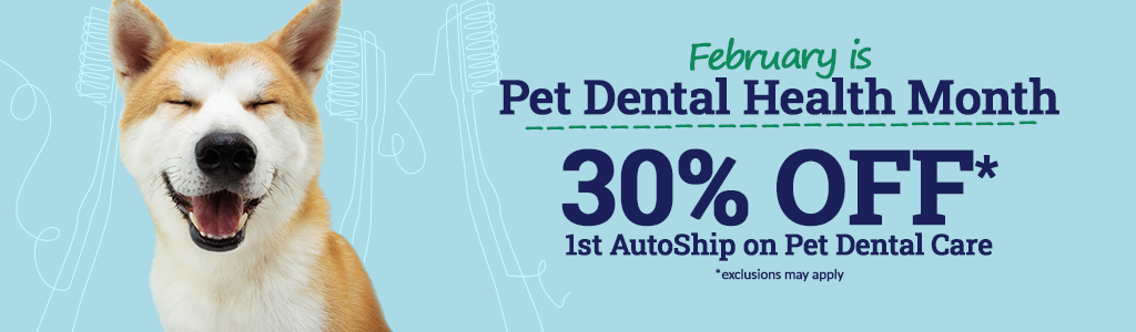 Pet Meds Online: Trusted Pharmacy for Pet Medicine | Allivet