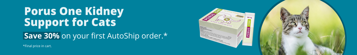 Porus One Kidney Support for Cats - 500mg | Allivet
