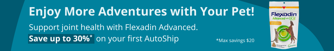 Buy Flexidine Plus Chews for Dogs & Cats - Supplements | Allivet