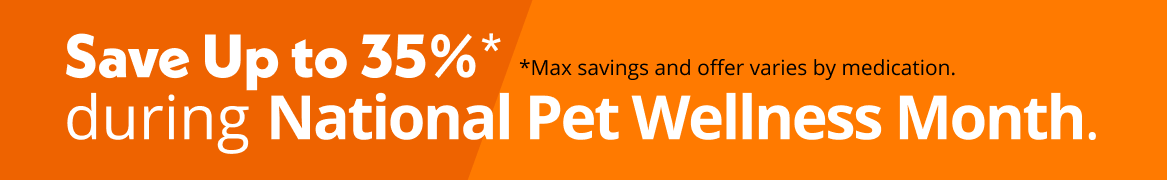 Proviable-KP Paste For Dogs & Cats - Probiotics | Allivet