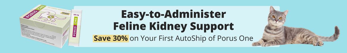 Porus One Kidney Support for Cats - 500mg | Allivet