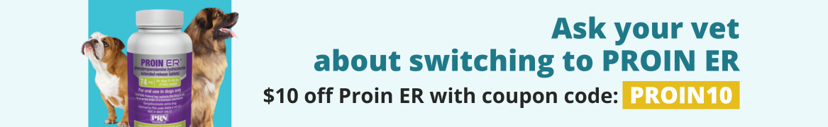 Proin ER For Dogs - 18 mg, 38 mg, 74 mg, 145mg | Allivet