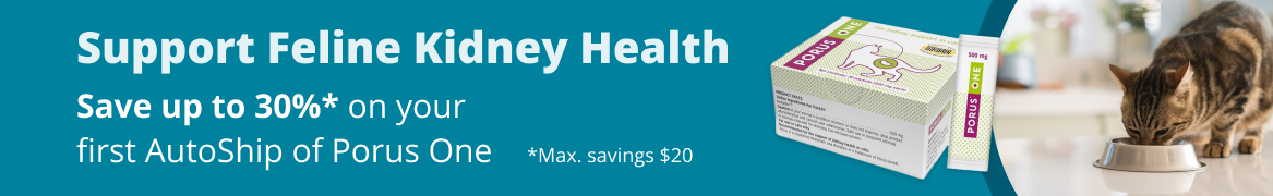 Porus One Kidney Support for Cats - 500mg | Allivet