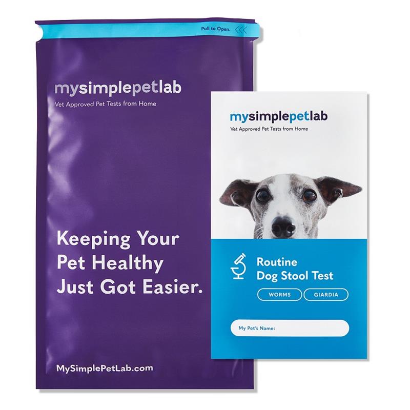 How Do You Collect A Stool Sample From A Dog